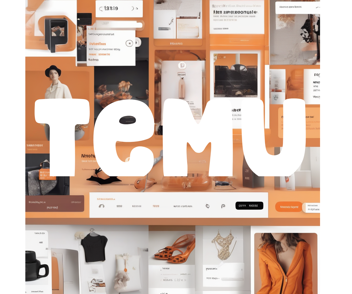 Temu Product Purchasing Platform - the product test